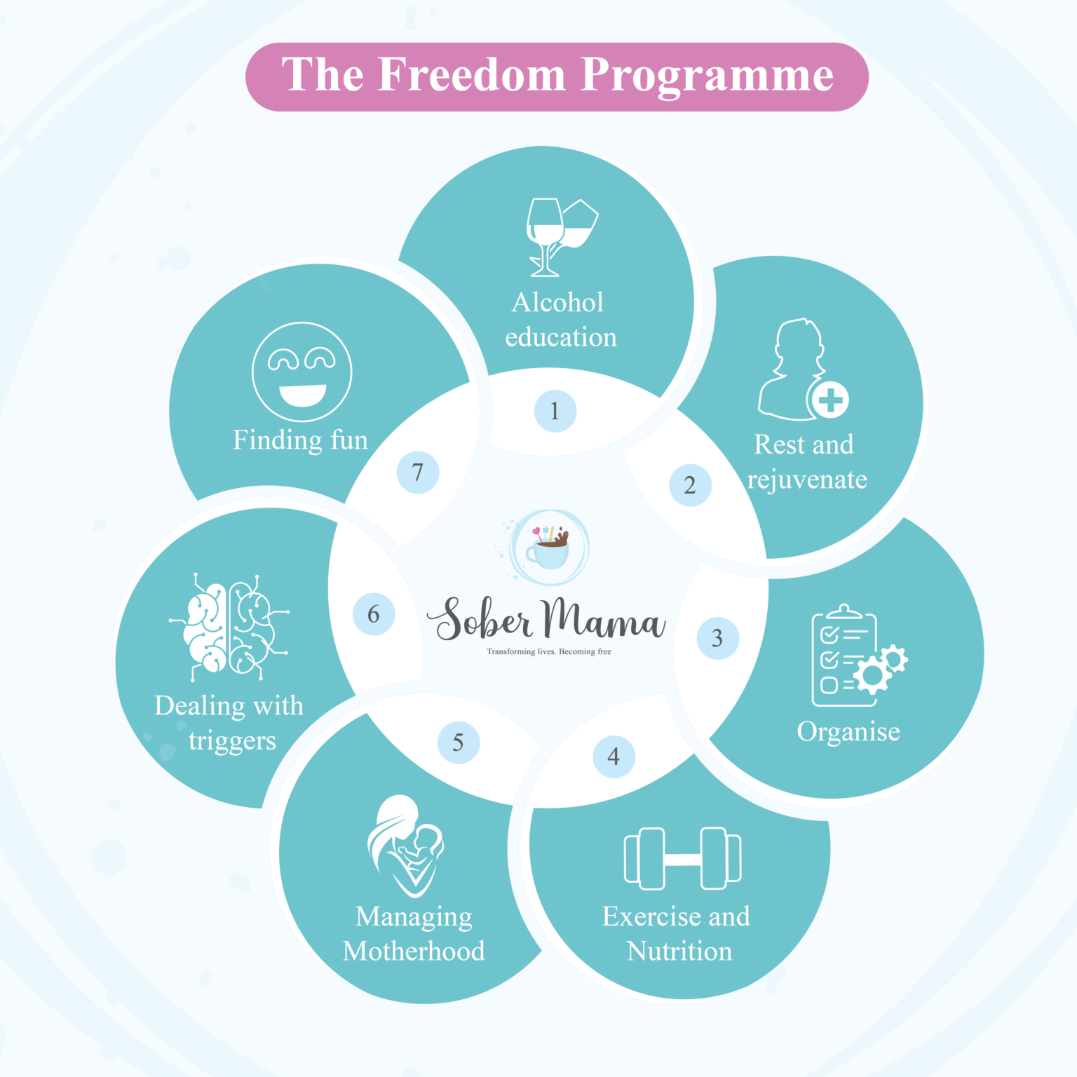 The Freedom Programme – Sober Mama